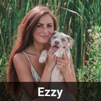 Team - Support Team - Vet in Hamilton | Animal Hospital of Stoney Creek